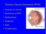 PPT - Flashes and Floaters PowerPoint Presentation - ID:337214