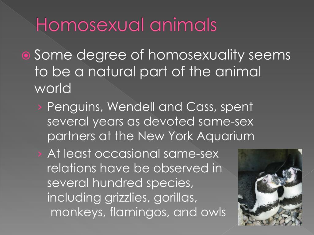 PPT - Sex, Love, and Gender PowerPoint Presentation, free download - ID ...