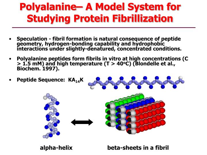 PPT - Protein Folding: The ABCs PowerPoint Presentation - ID:337404
