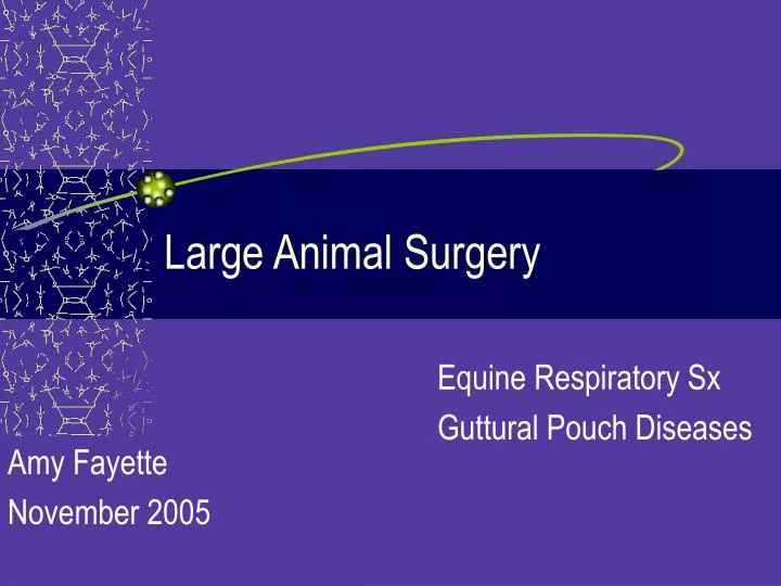 PPT - Large Animal Surgery PowerPoint Presentation, free download - ID ...