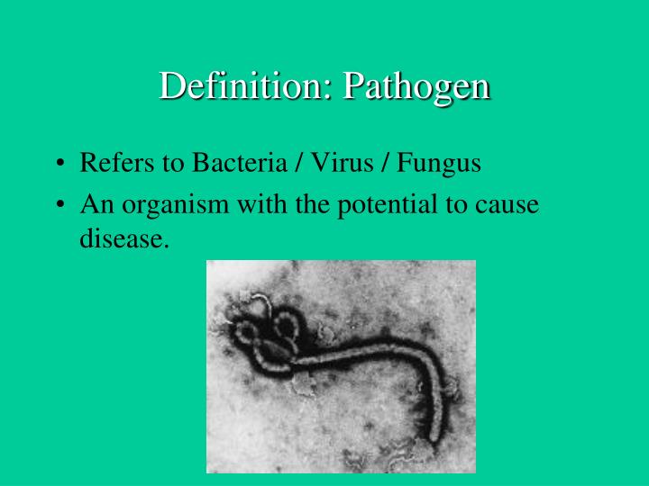 PPT - Principles of Disease PowerPoint Presentation - ID:337666