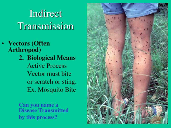 PPT - Principles of Disease PowerPoint Presentation - ID:337666