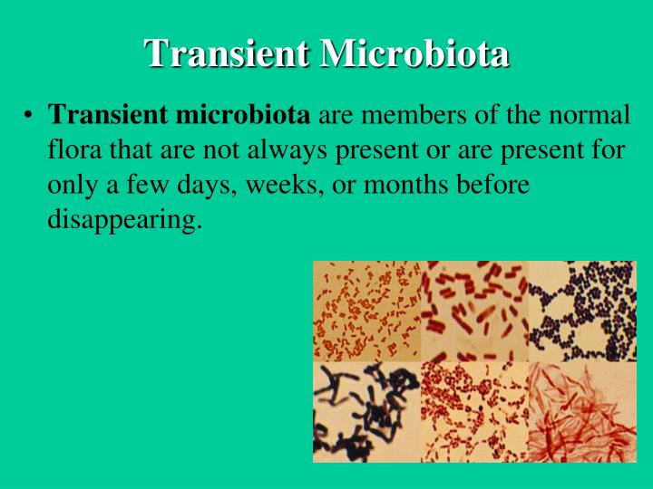 PPT - Principles of Disease PowerPoint Presentation - ID:337666