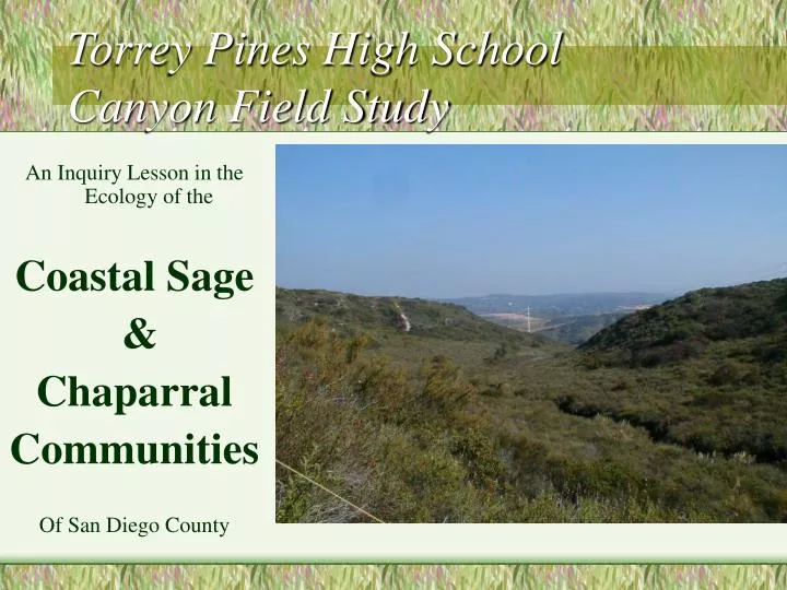 PPT - Torrey Pines High School Canyon Field Study PowerPoint Presentation - ID:337854