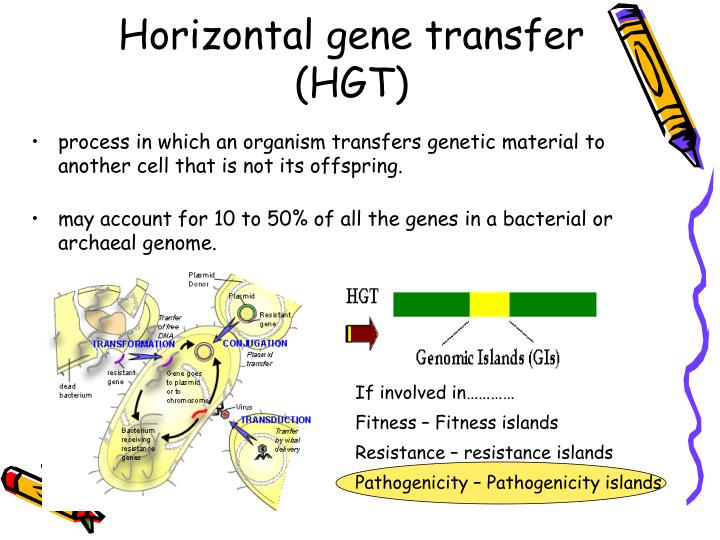 PPT - Bioinformatics for Genome data analysis PowerPoint Presentation ...