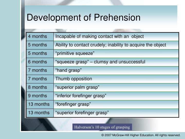 PPT - Fine Motor Development PowerPoint Presentation - ID:338576