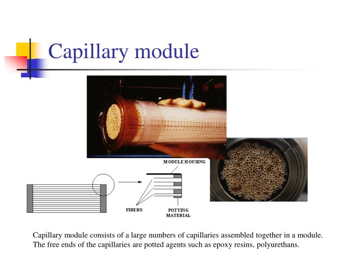 PPT - Membrane separation PowerPoint Presentation - ID:339318