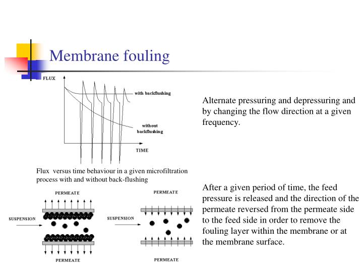 PPT - Membrane separation PowerPoint Presentation - ID:339318