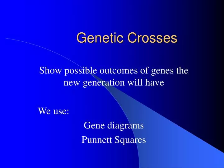 PPT - Genetic Crosses PowerPoint Presentation, free download - ID:339644