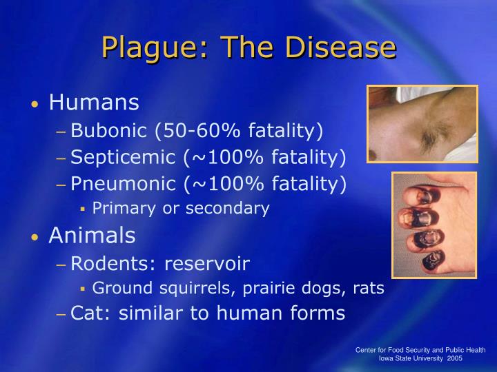 PPT - Bioterrorism Awareness: Protection of Human and Animal Health ...