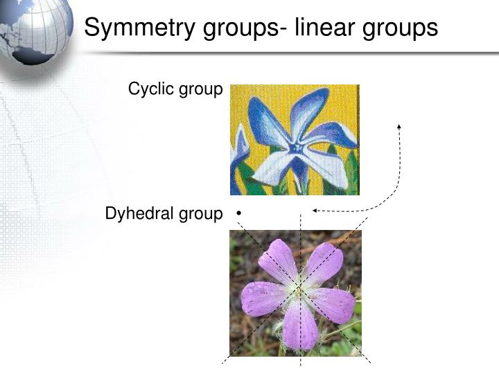 PPT - Symmetry Definitions and Perception of Symmetry PowerPoint ...