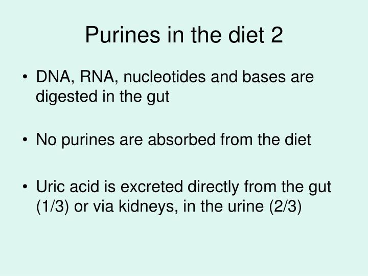 PPT - Basic Biochemistry: Purines in Food PowerPoint Presentation - ID ...