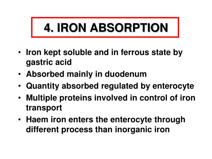 PPT - IRON IN HEALTH AND DISEASE PowerPoint Presentation - ID:342815