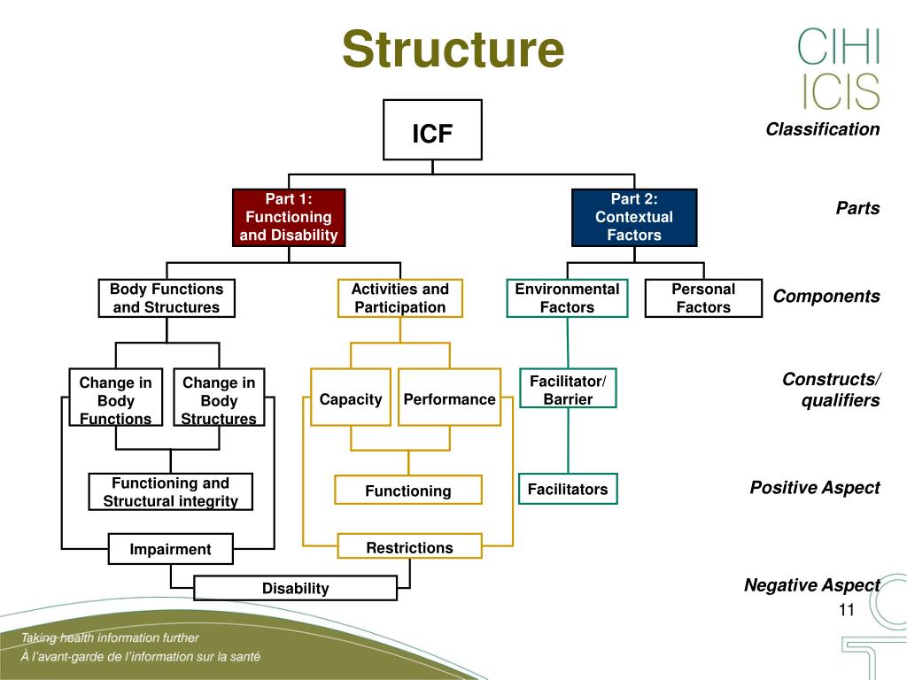 PPT International Classification Of Functioning Disability And PPT International Classification Of Functioning Disability And