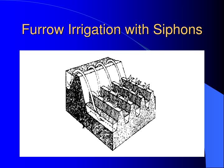 PPT - CHAPTER THREE: IRRIGATION METHODS AND DESIGNS PowerPoint ...
