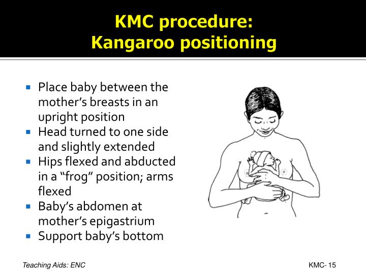 PPT - K angaroo M other C are PowerPoint Presentation - ID:343784