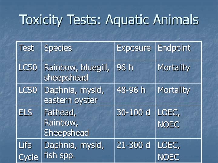 PPT - Pesticide Risk Assessment PowerPoint Presentation - ID:345410