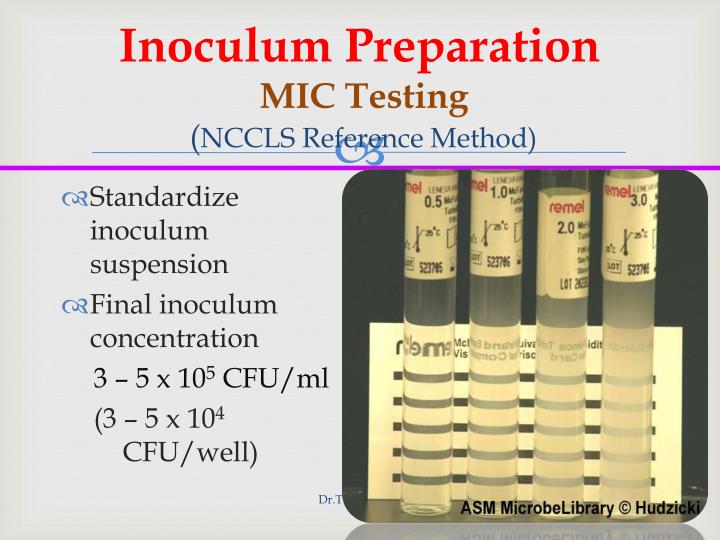 PPT - ANTIBIOTIC SENSITIVITY TESTING SKILL BASED LEARNING PowerPoint ...