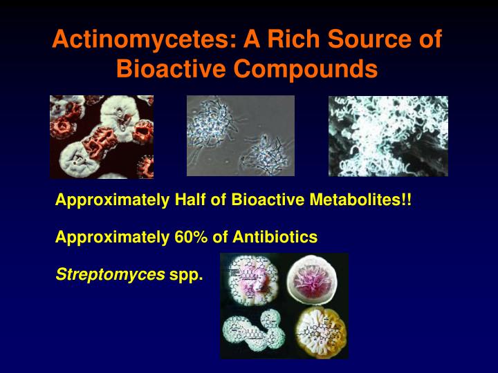 PPT - Bioactive Compounds from Marine Microbes PowerPoint Presentation ...