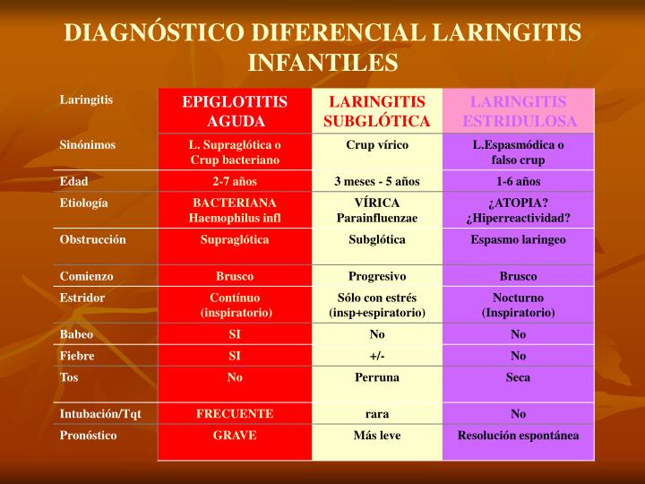 PPT - LARINGITIS PowerPoint Presentation - ID:348530