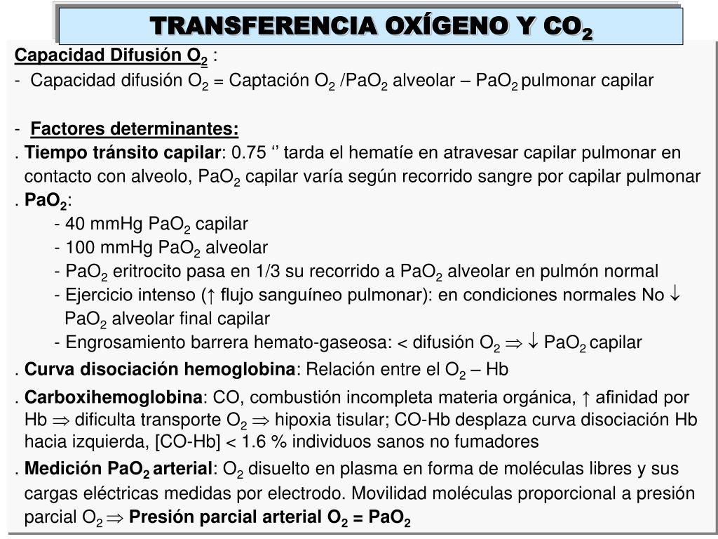 PPT - FUNDAMENTOS DE ANATOMÍA, FISIOLOGÍA Y FISIOPATOLOGÍA RESPIRATORIA ...