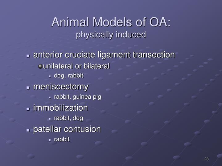 PPT - Osteoarthritis (OA): in vitro and animal models PowerPoint ...