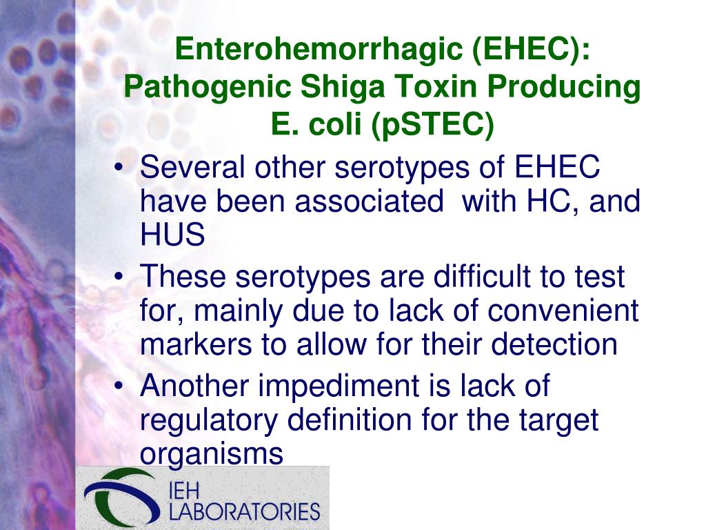 PPT - Prevalence of Enterohemorrhagic E. coli (EHEC) in Marler and ...