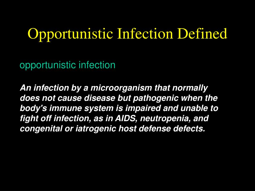 PPT - Opportunistic Infections: for VCU Medical Residents- Noon ...