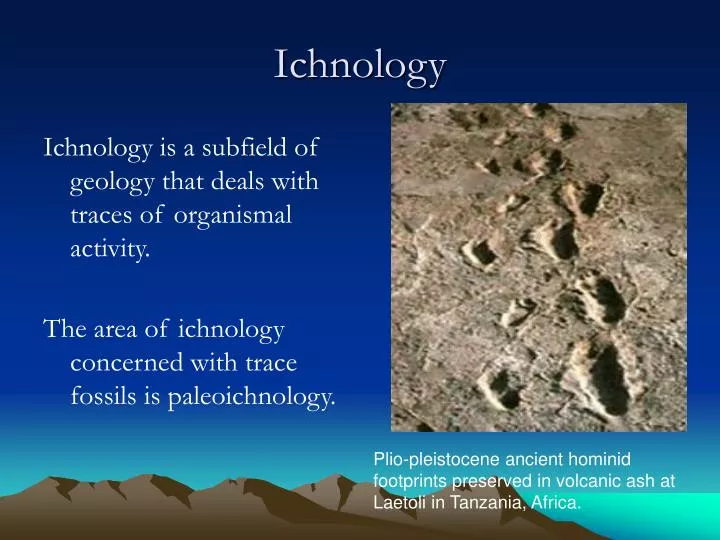 PPT - Ichnology PowerPoint Presentation, free download - ID:350906