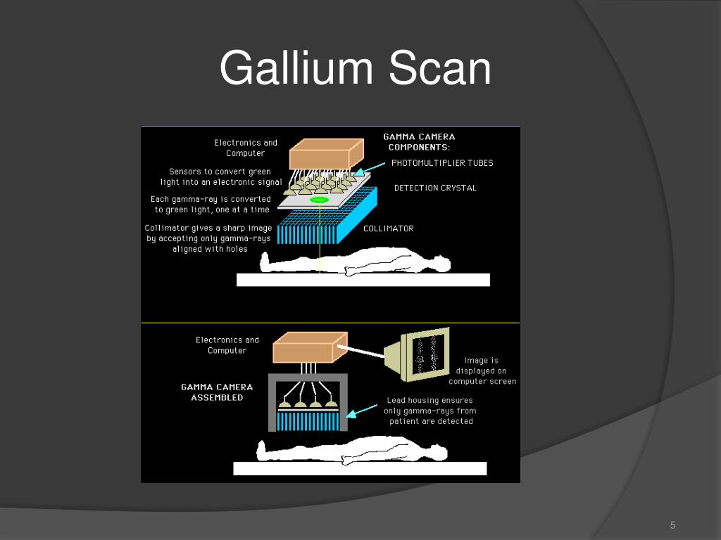 PPT - By Maribel Aguilar PowerPoint Presentation, free download - ID:351292