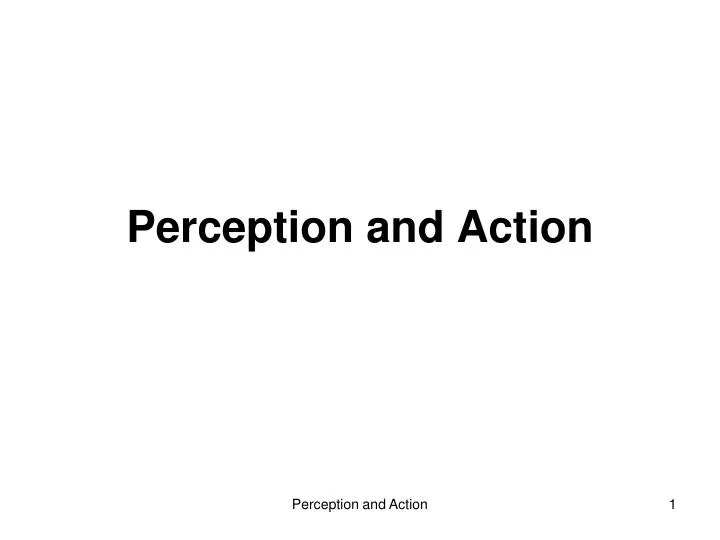 PPT - Perception and Action PowerPoint Presentation, free download - ID ...