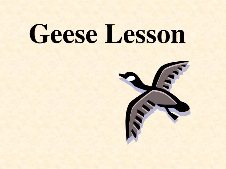 PPT - Geese Lesson PowerPoint Presentation, free download - ID:351949