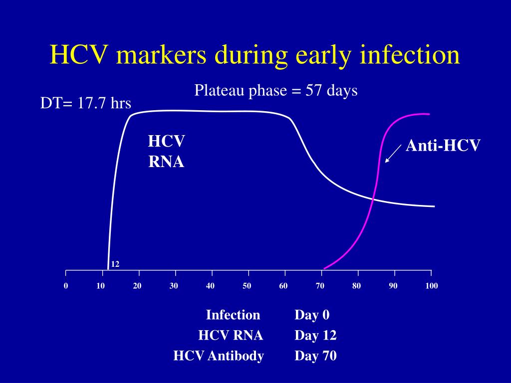 PPT - The biology of window period infections: implications for donor ...