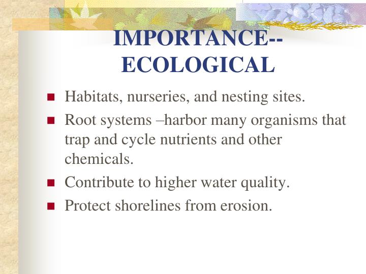 PPT - COASTAL ECOSYSTEMS MANGROVES PowerPoint Presentation - ID:354375