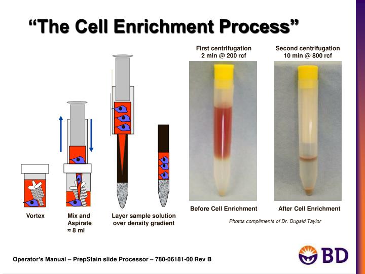 PPT - Welcome Glandular workshop 29 th May 2008 PowerPoint Presentation ...