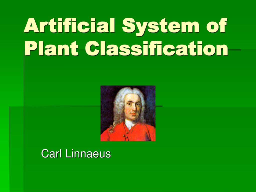 PPT - Artificial System of Plant Classification PowerPoint Presentation ... PPT - Artificial System of Plant Classification PowerPoint Presentation ...