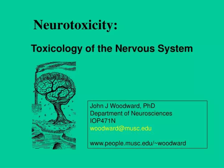 PPT - Neurotoxicity: PowerPoint Presentation, free download - ID:355735