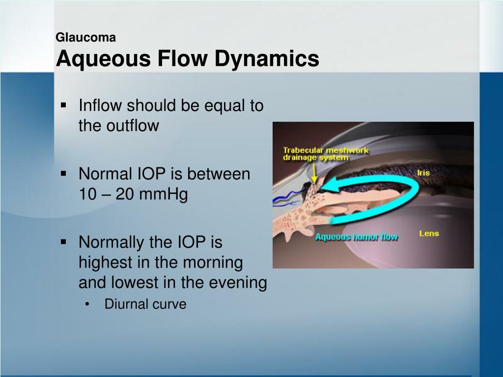 PPT - Role of Prostaglandin Analogs in The Treatment of Glaucoma ...