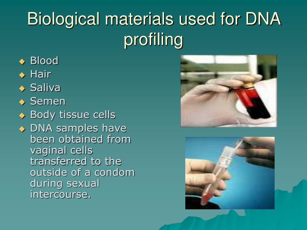 PPT - DNA Profiling PowerPoint Presentation, free download - ID:356737 PPT - DNA Profiling PowerPoint Presentation, free download - ID:356737