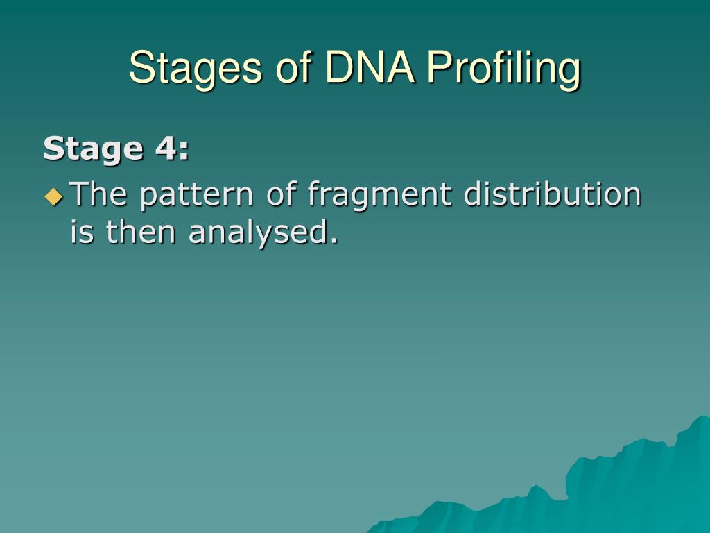 PPT - DNA Profiling PowerPoint Presentation, free download - ID:356737 PPT - DNA Profiling PowerPoint Presentation, free download - ID:356737