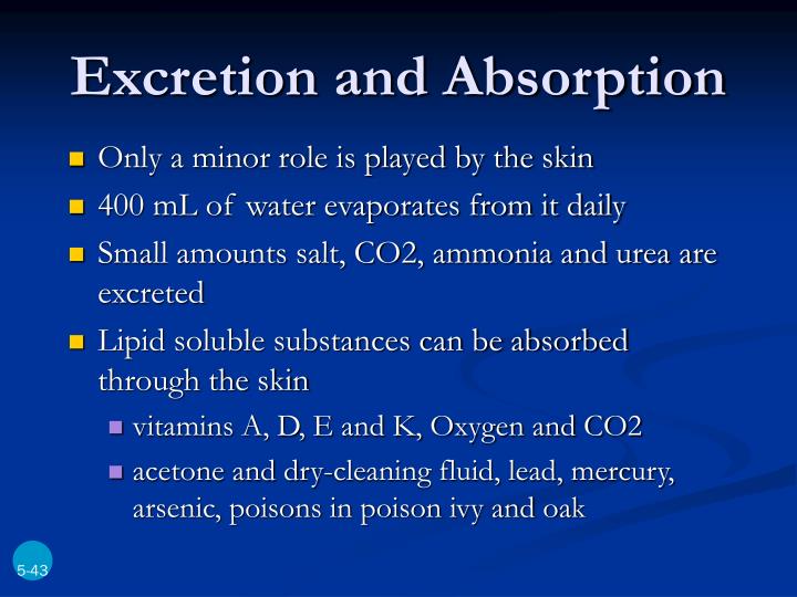 PPT - The Integumentary System PowerPoint Presentation - ID:357757