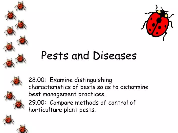 PPT - Pests and Diseases PowerPoint Presentation, free download - ID:357932