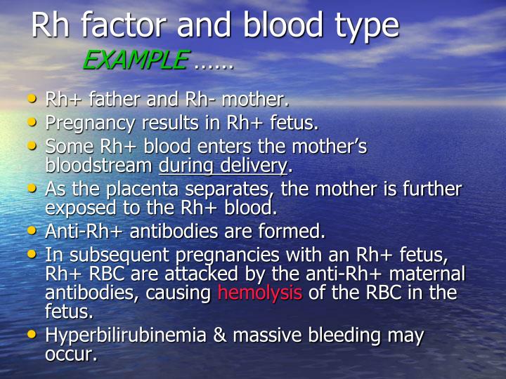 PPT - Maternal History PowerPoint Presentation - ID:359526