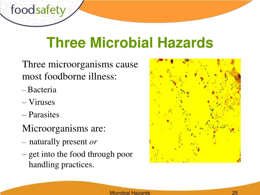 PPT - Microbial Hazards PowerPoint Presentation, free download - ID:360369 PPT - Microbial Hazards PowerPoint Presentation, free download - ID:360369