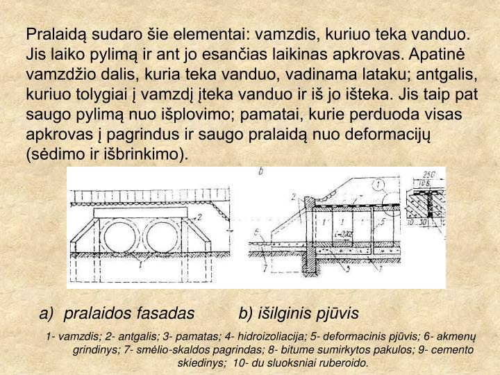 PPT - PRALAIDOS IR VAMZDŽIAI PowerPoint Presentation - ID:361362