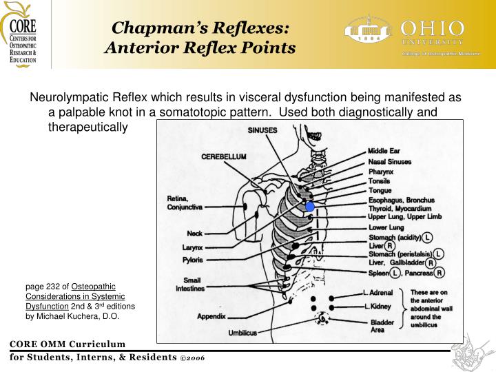 PPT - Osteopathic Evaluation & Treatment The Patient with Respiratory ...