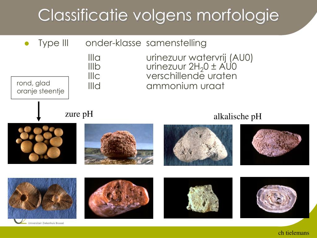 PPT - 12de Ontmoetingsdag met het departement IG PowerPoint ...