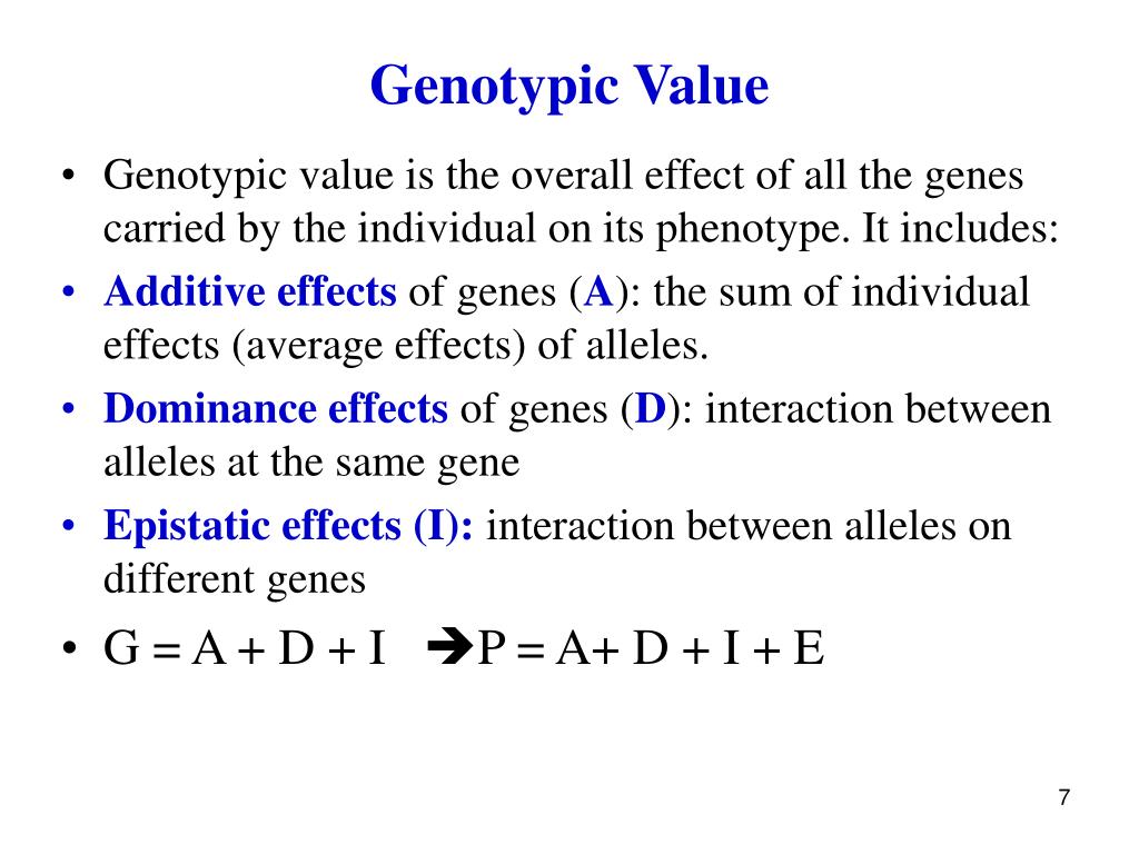 PPT - Genetics 24231 Faculty of Agriculture PowerPoint Presentation ...