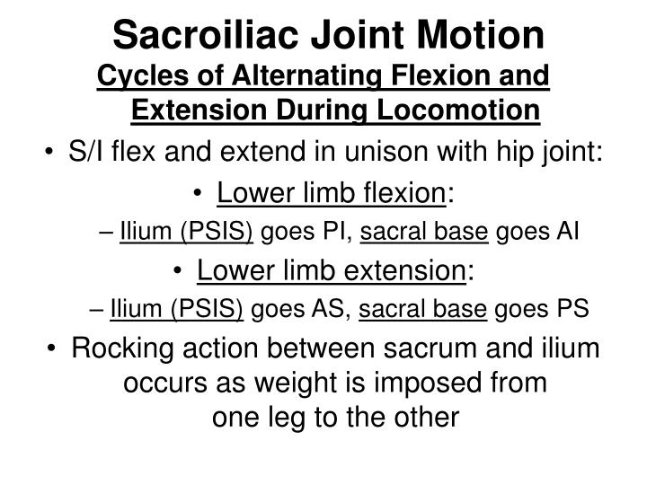 PPT - THE SACROILIAC JOINT PowerPoint Presentation - ID:364062