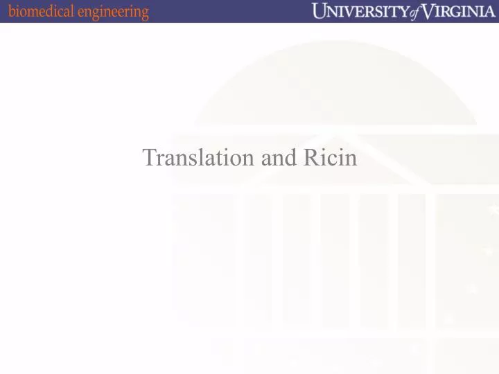 PPT - Translation and Ricin PowerPoint Presentation, free download - ID ...